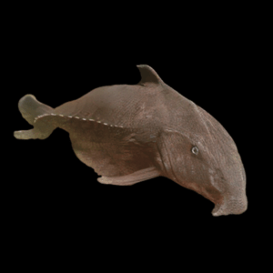 Catfish – Page 3 – Sims Tropical Fish | Tropical Fish, Aquarium, Fish Store